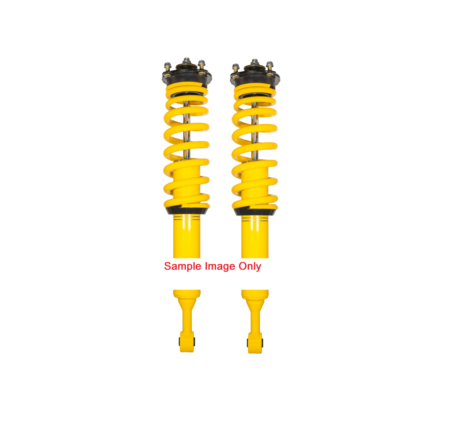 Strut Assembly - Wilkinson Suspension